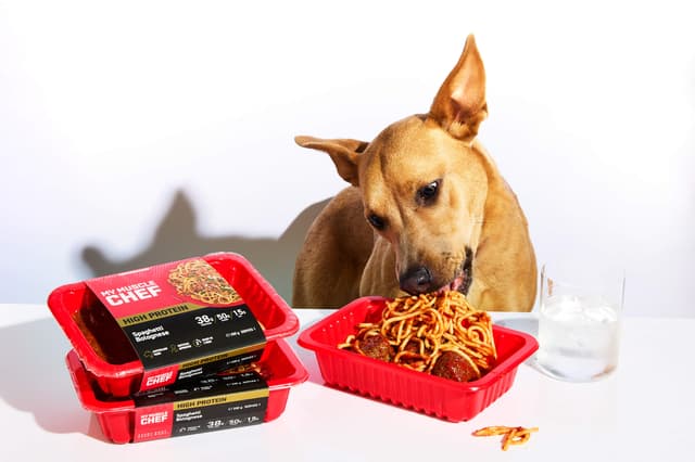 Difference between Cut, Jacked and Ripped Bodies | My Muscle Chef